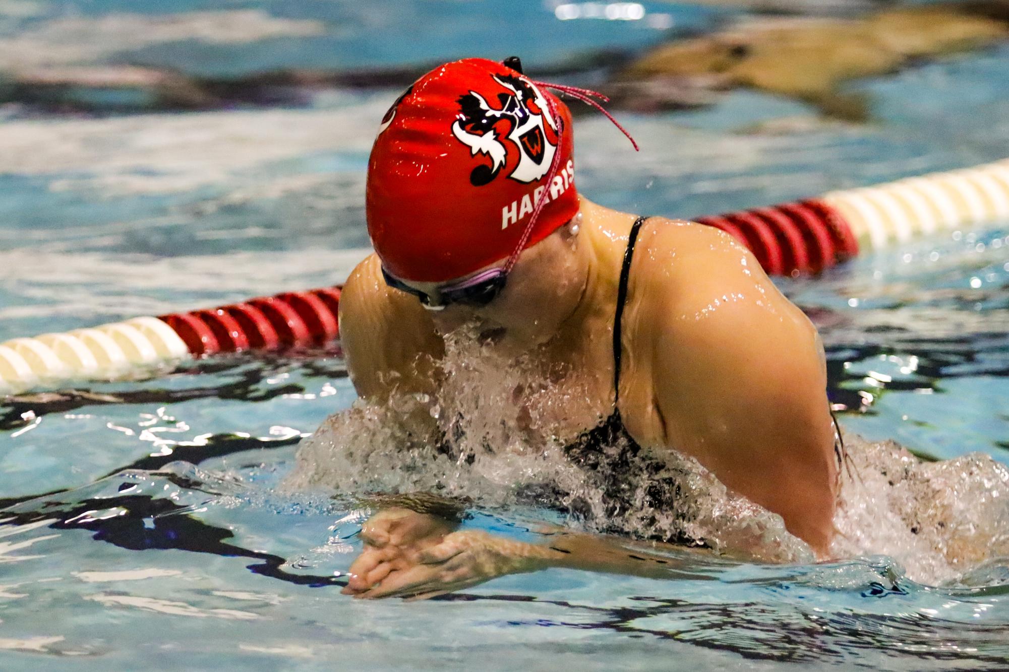 Girls swim team defeats Papillion in home swim meet – Westside Wired